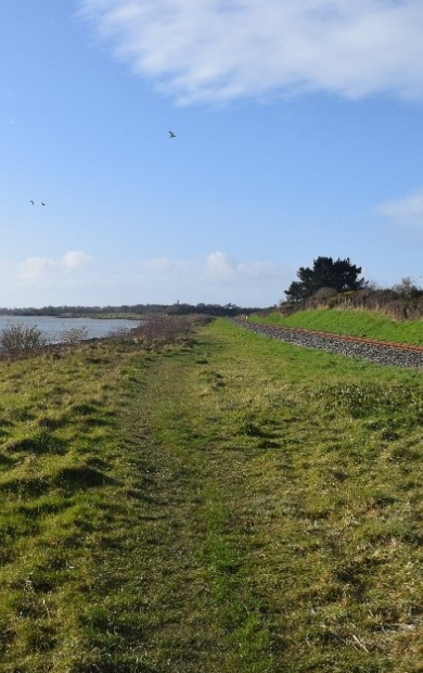 Wexford Town to Rosslare Strand Greenway - Fehily Timoney